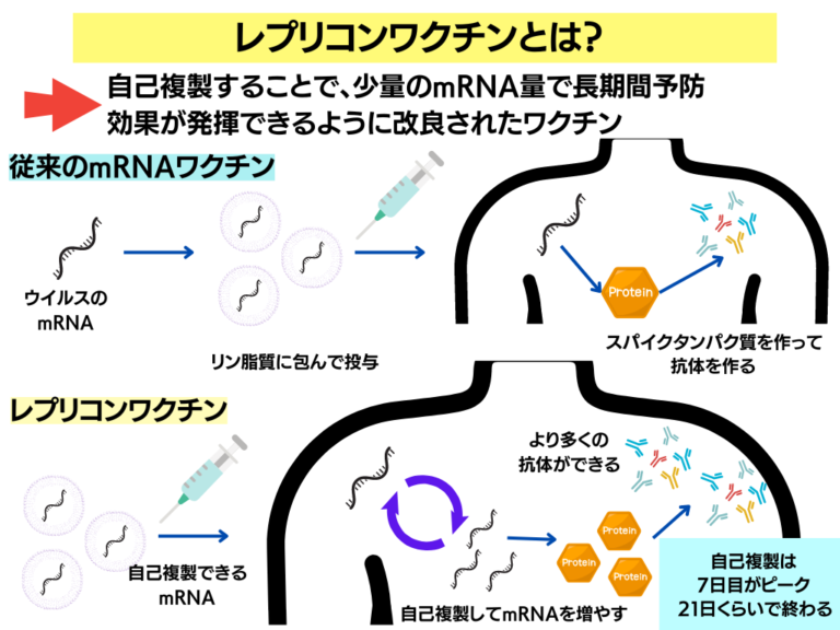 レプリコンワクチンについて【仕組み・お断り・治験】 | ひまわり医院（内科・皮膚科）